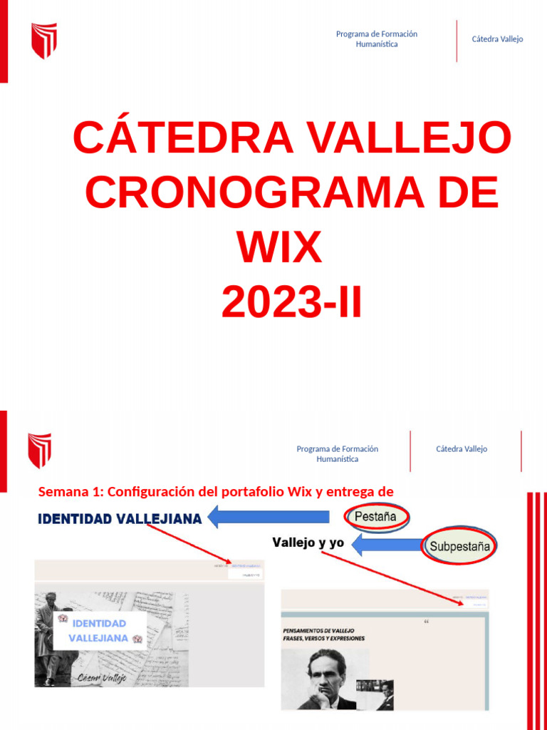 Cronograma Wix | PDF
