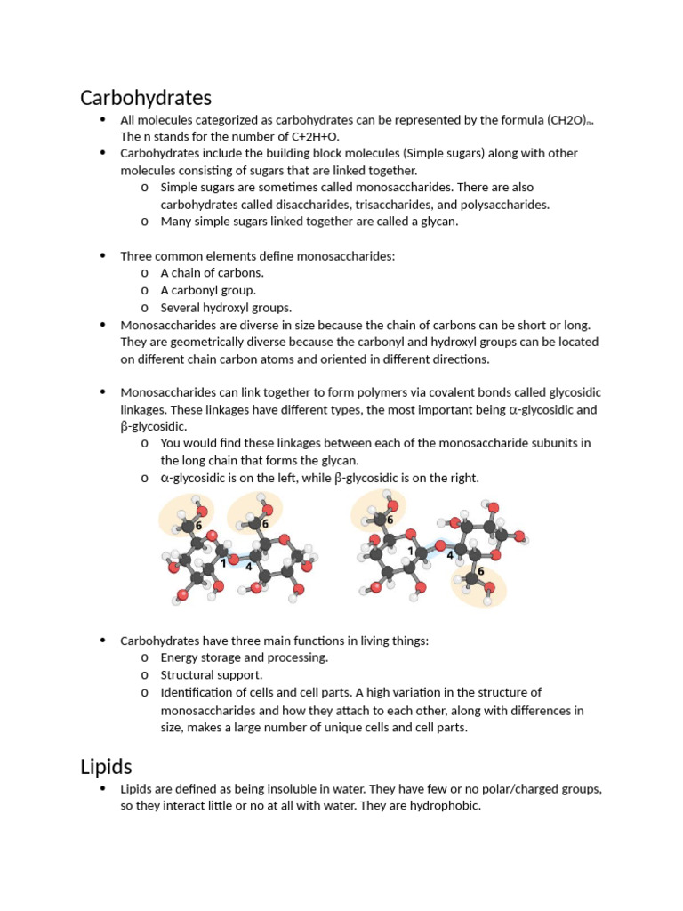 Overview of Carbohydrates, Lipids, and Nucleic Acids | PDF | Dna ...