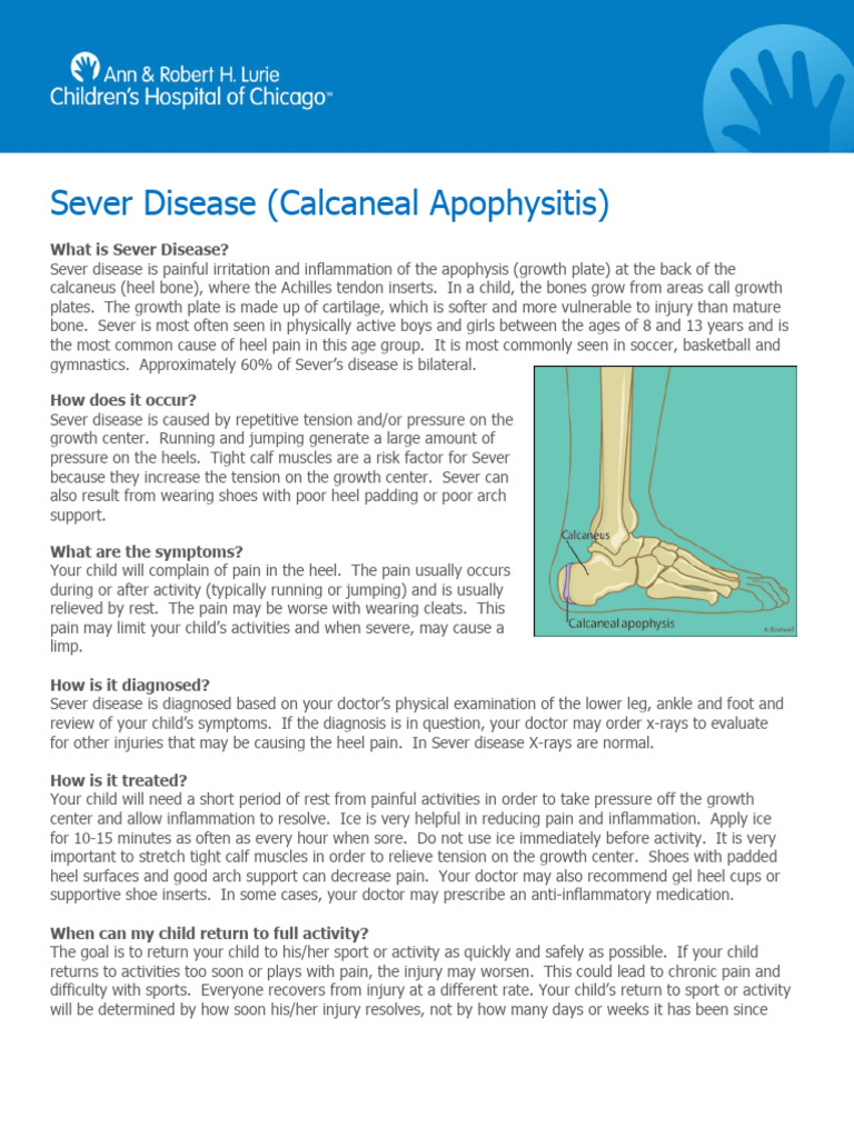 sever-disease | PDF | Diseases And Disorders | Musculoskeletal System