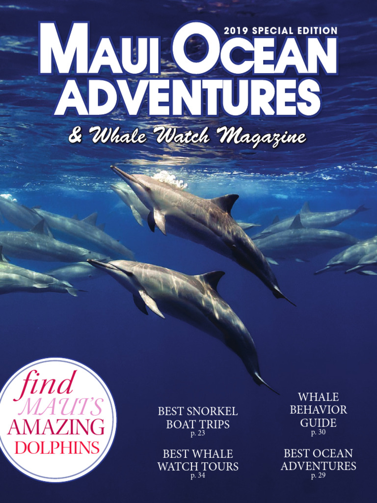 Whale Watch Magazine | PDF | Maui | Whales
