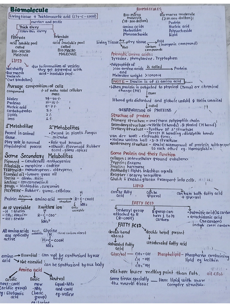 Biomolecules PDF | PDF