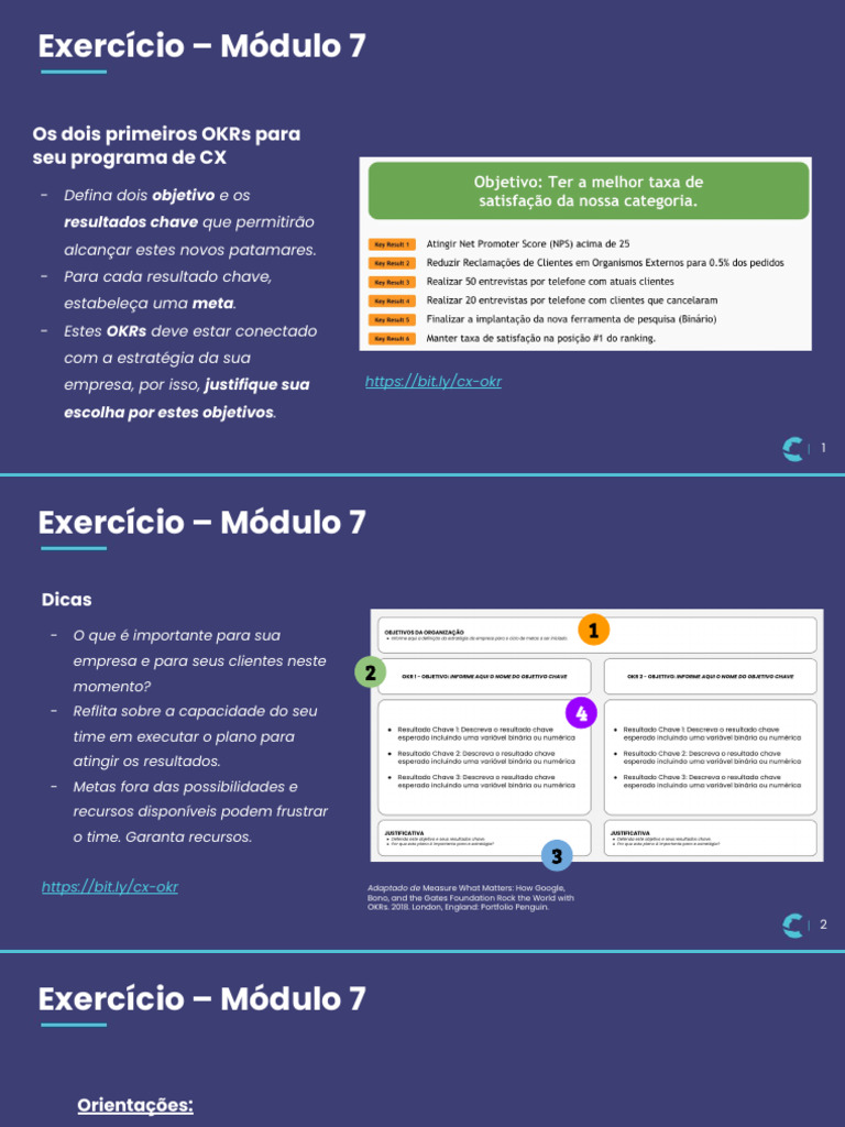Exercício Módulo 7 - Customer Experience Essential - CS Academy | PDF
