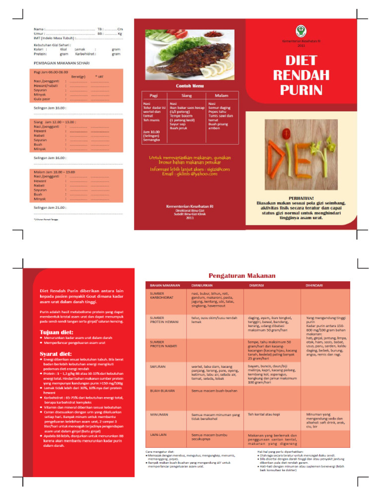 LEAFLET RENDAH PURIN FIX 2019 | PDF