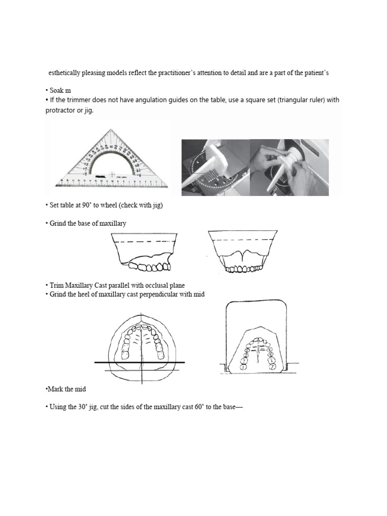 Guía para Recorte de Modelos Dentales | PDF | Cabeza y cuello humanos ...