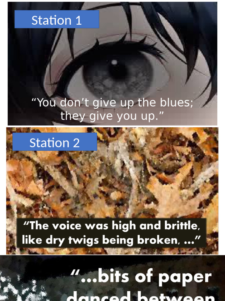 The Treasure of Lemon Brown - Gallery Walk Figurative Language | PDF