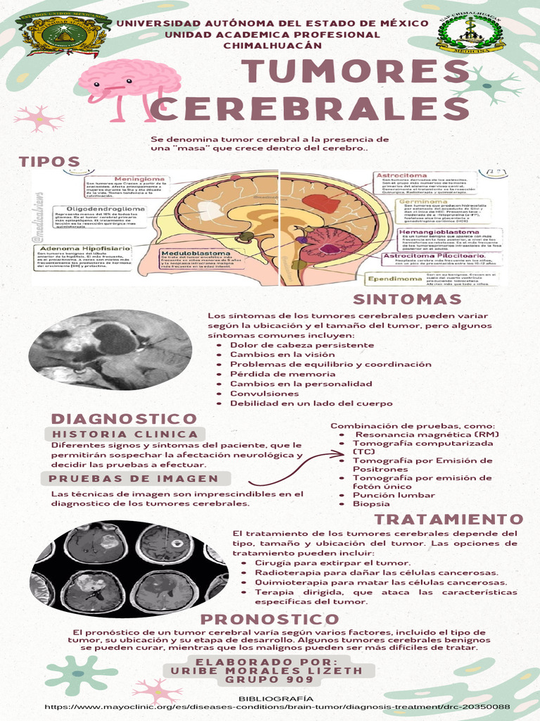 Tumores Cerebrales | PDF | Tumor cerebral | Neoplasias