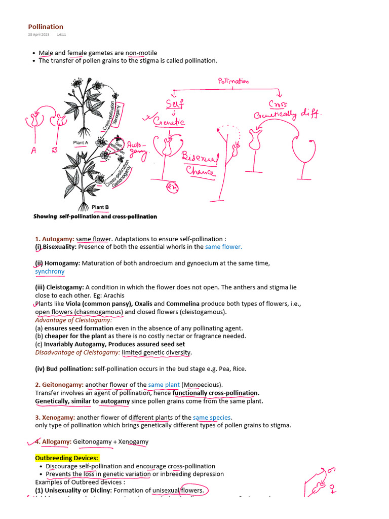 Pollination | PDF | Flowers | Pollination