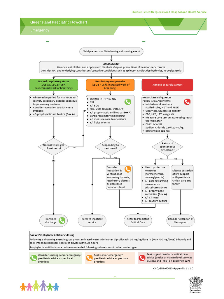 drowning-flowchart | PDF | Medical Specialties | Human Diseases And ...