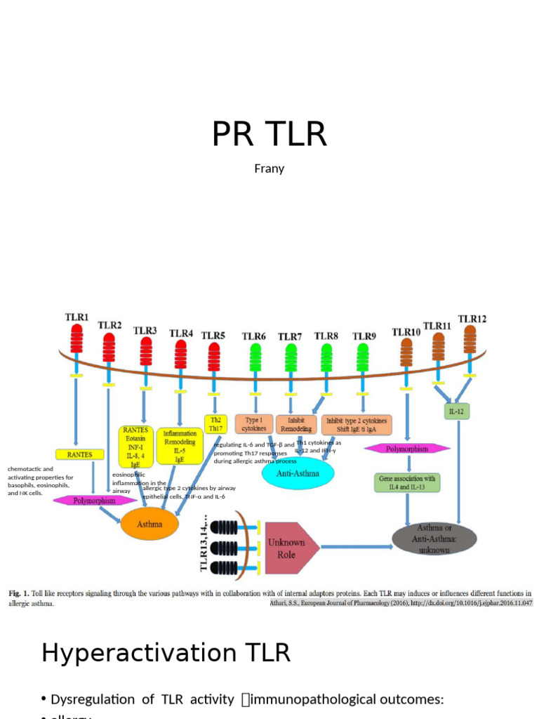 PR TLR | PDF