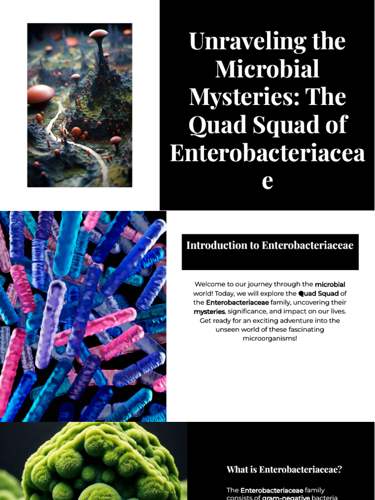 Wepik Unraveling The Microbial Mysteries The Quad Squad of Enterobacteriaceae 20241112102649wLbD ...