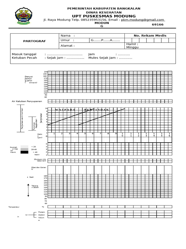 Form Partograf | PDF