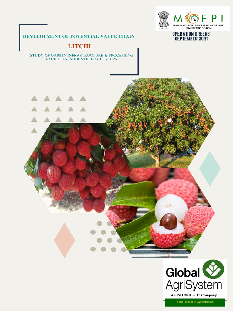 Study On Infrastructure Gaps - Litchi | PDF | Logistics | Methodology