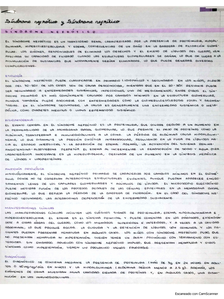 CamScanner 12-12-2024 22.44 | PDF