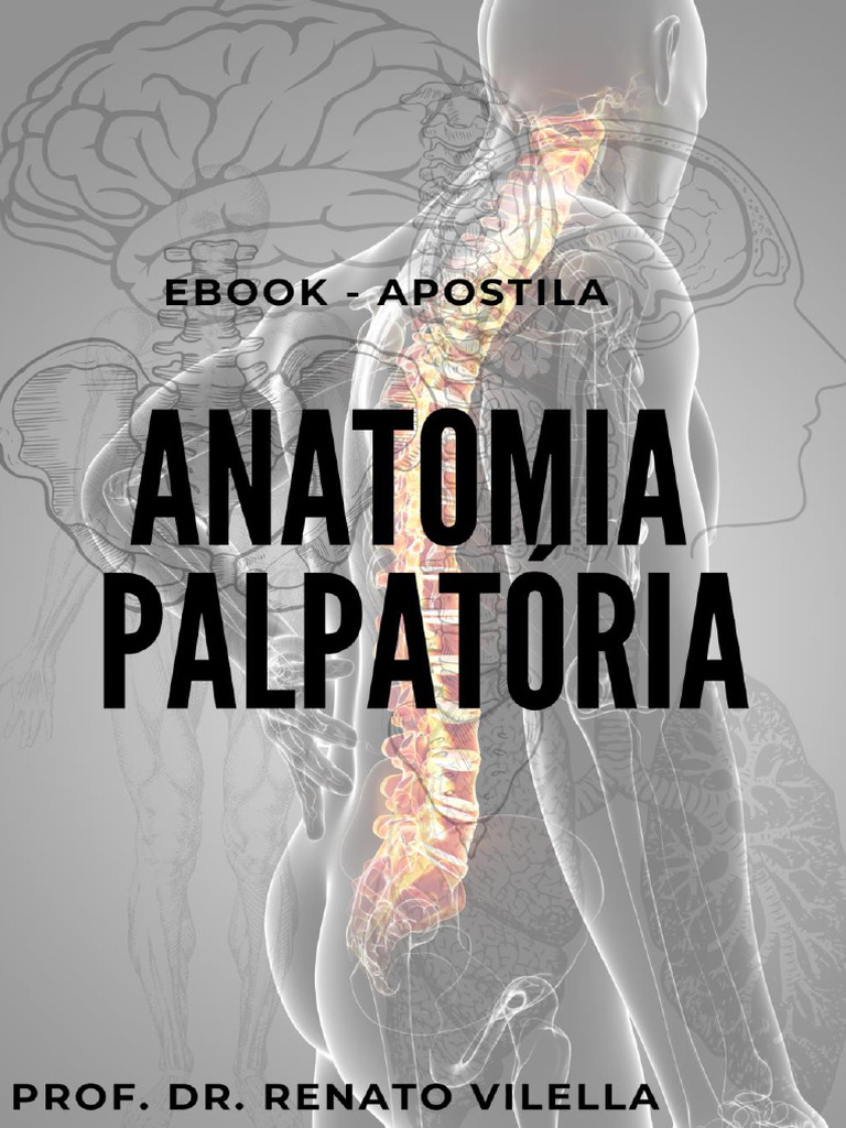 eBook+Anatomia+Palpat%C3%B3ria+HOTMART | PDF | Fisioterapia | Sistema ...