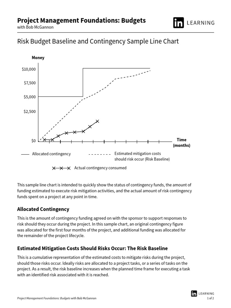 Project Budgeting and Risk Management Guide | PDF