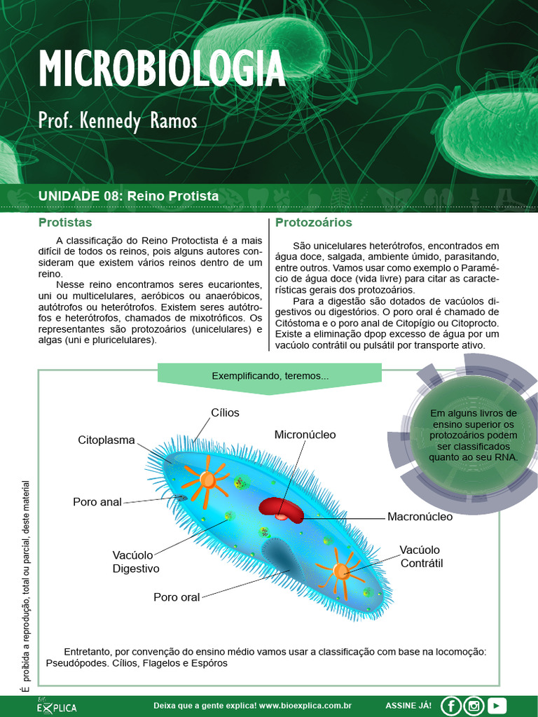 8. Apostila - Reino Protoctista | PDF | Protozoários | Organismos