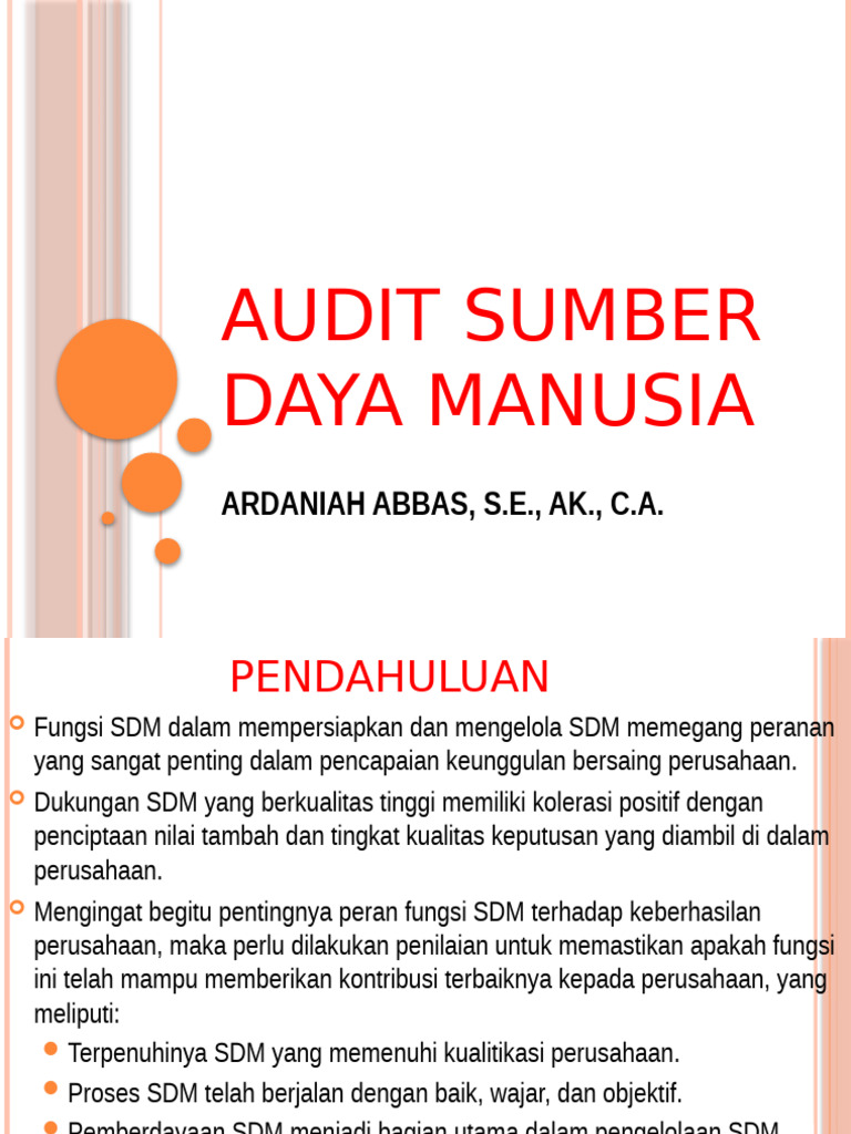 AUDIT SDM | PDF