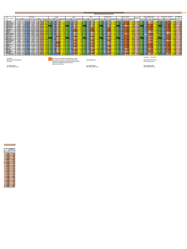Data Sasaran Program Kesgazi 2025 | PDF