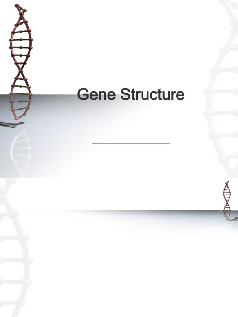 c2 Mic210 131012232559 Phpapp01 | PDF | Dna | Base Pair