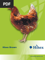 Hisex Brown Layer Management Guide | PDF | Selective Breeding | Chicken