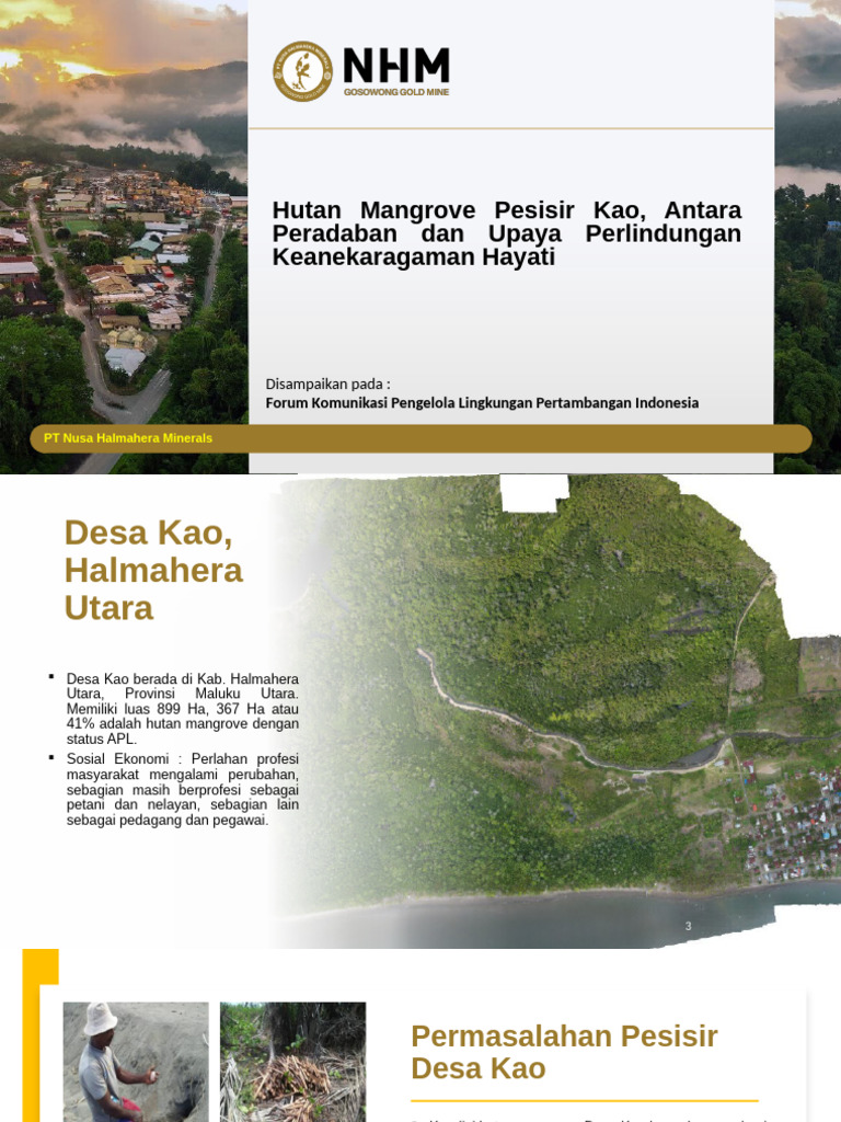 Materi Presentation NHM - Hutan Mangrove Kao-Antara Peradaban Dan Upaya Perlindungan Kehati | PDF
