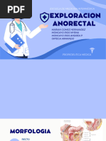 Guía para el Examen de Tacto Rectal | PDF