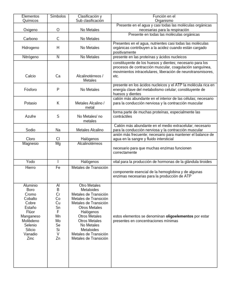 Elementos Químicos en el Cuerpo Humano | PDF | Elementos químicos | Rieles