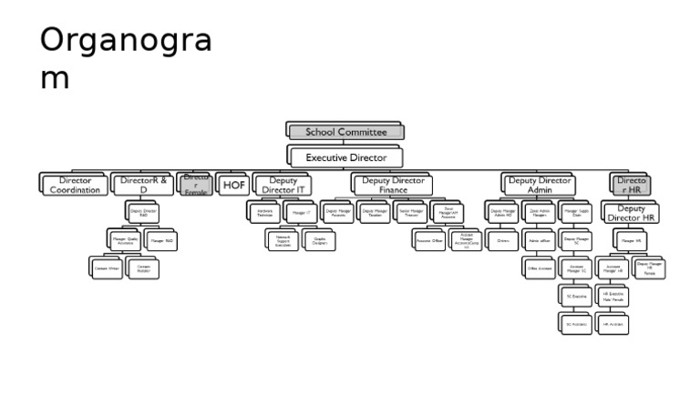 Organogram | PDF