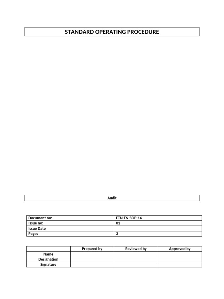 ETN-FN-SOP-14 Audit | PDF | Audit | Internal Audit