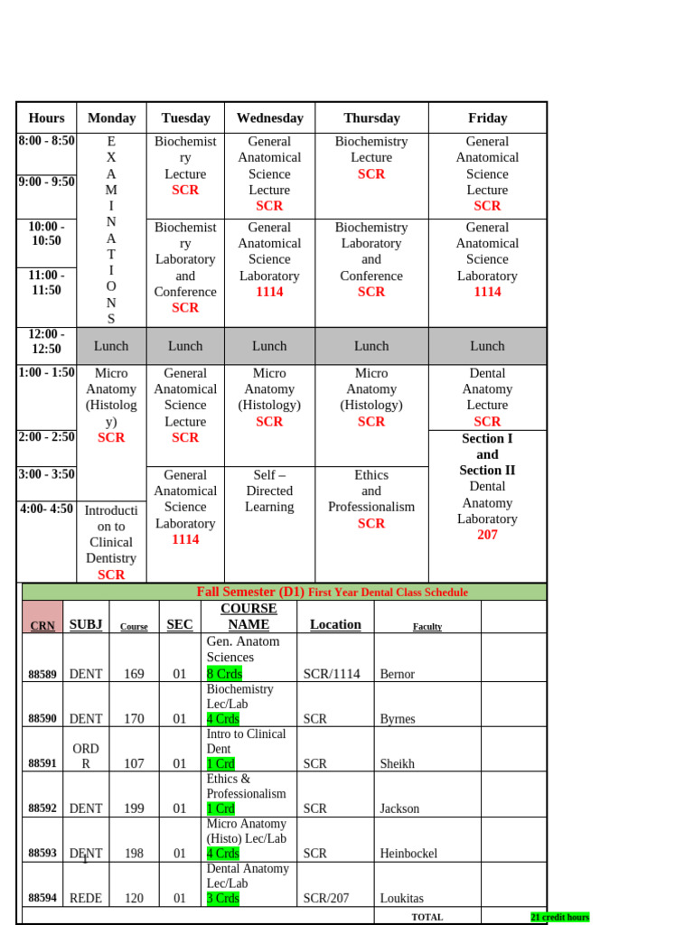 First Year Dental Class Timetable | PDF | Science | Anatomy
