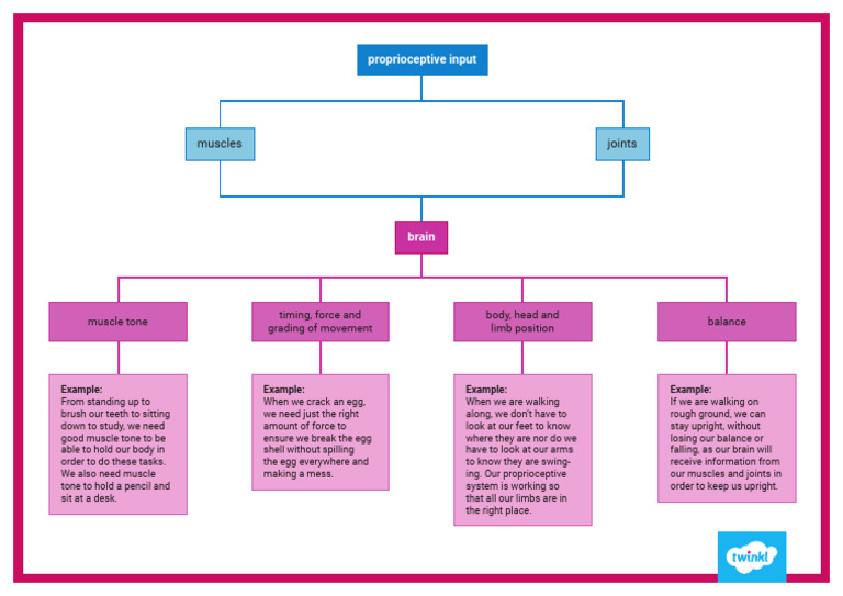 Proprioceptive System Mind Map | PDF
