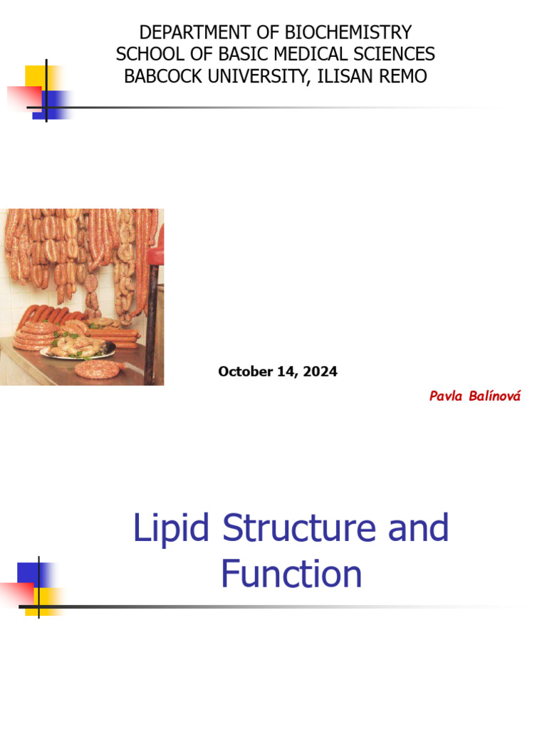 Lipid structure and functions - Oct. 2024 | PDF | Lipid | Fatty Acid