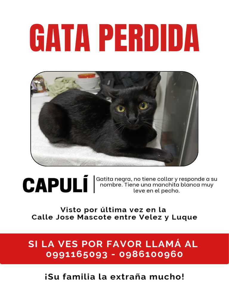 CAPULI | PDF