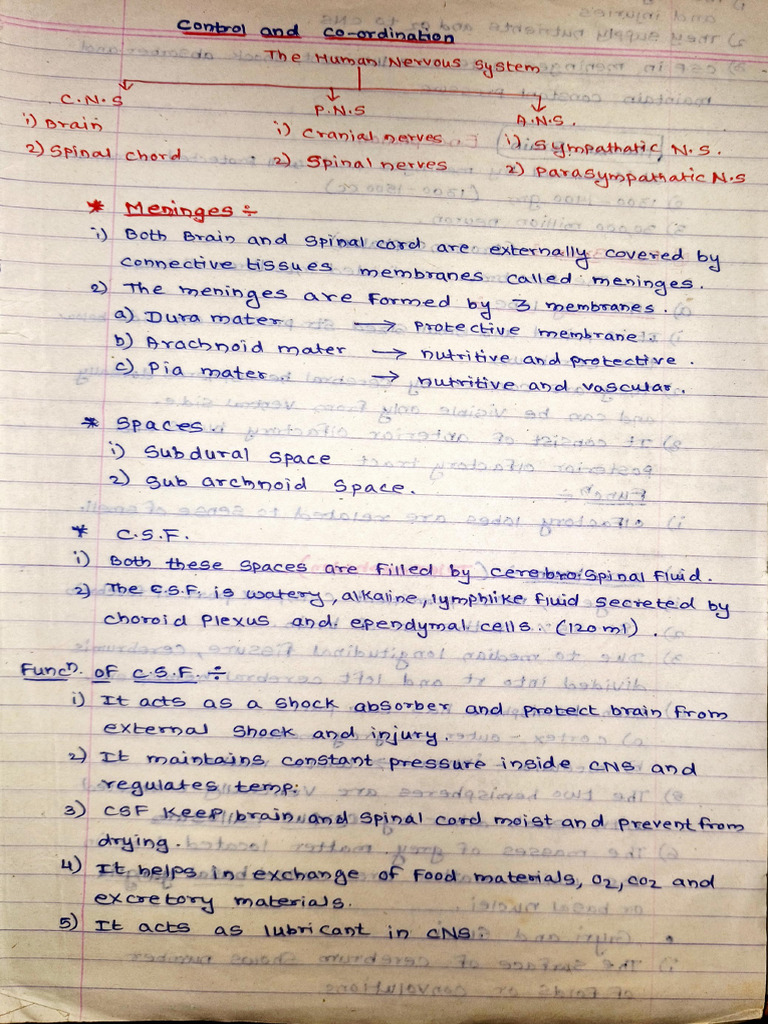 9.control & Coordination | PDF