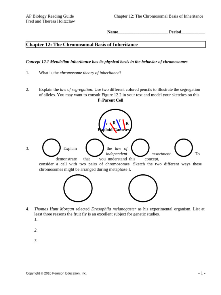 Chapter 12: Chromosomal Inheritance Guide | PDF | Genetic Linkage ...