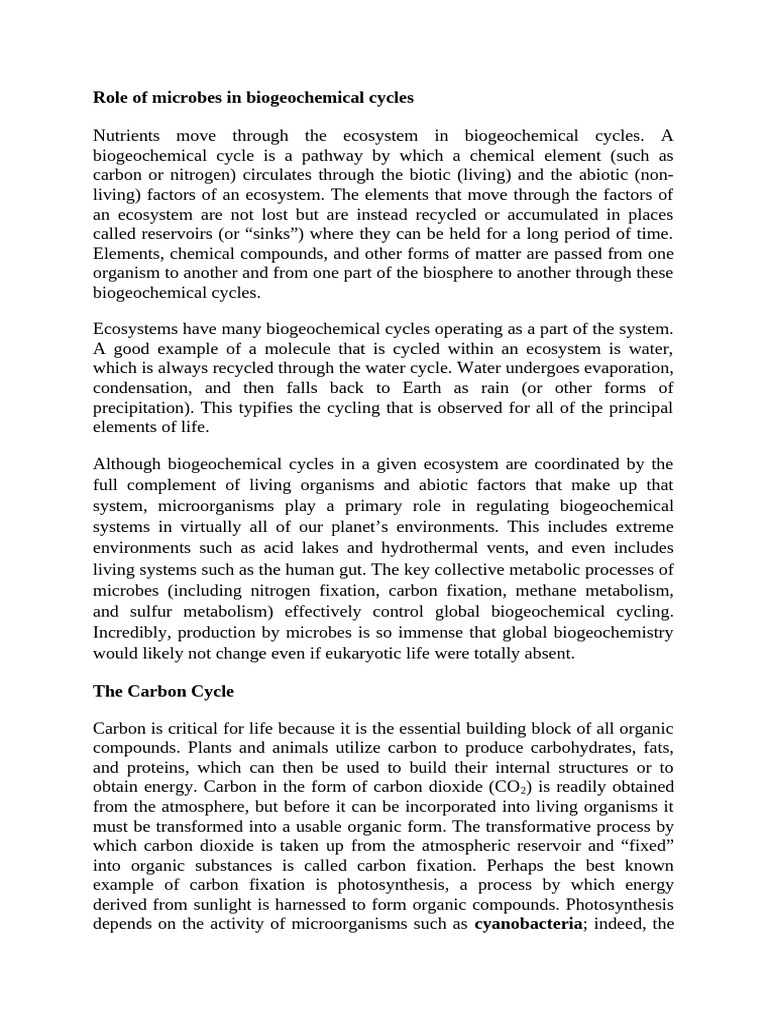 Microbial Roles in Biogeochemical Cycles | PDF | Cell Membrane | Archaea