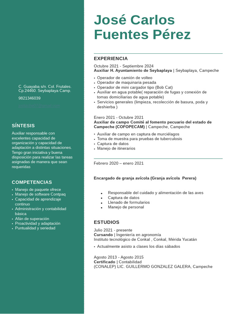 CV_1.docx | PDF