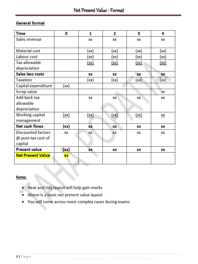 NPV Format Guidelines | PDF