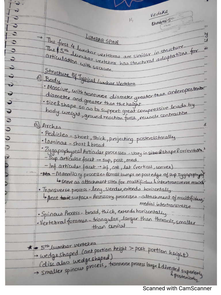 Shoulder Complex | PDF