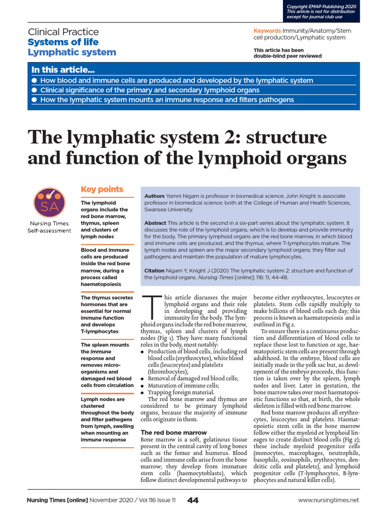 The Lymphatic System 2 Structure and Function of The Lymphoid Organs | PDF | Lymphatic System ...