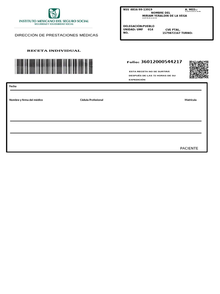 Formato de Receta Medica Imss Editable | PDF