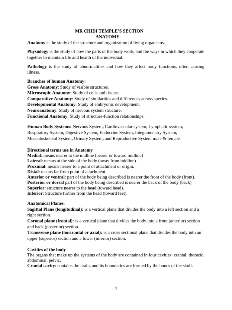 ND One Anatomy Handout-1 | PDF | Mitosis | Heart