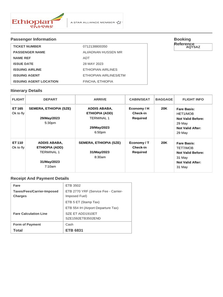 Electronic Ticket Receipt, May 29 For MR ADNAN HUSSEN ALI | PDF ...