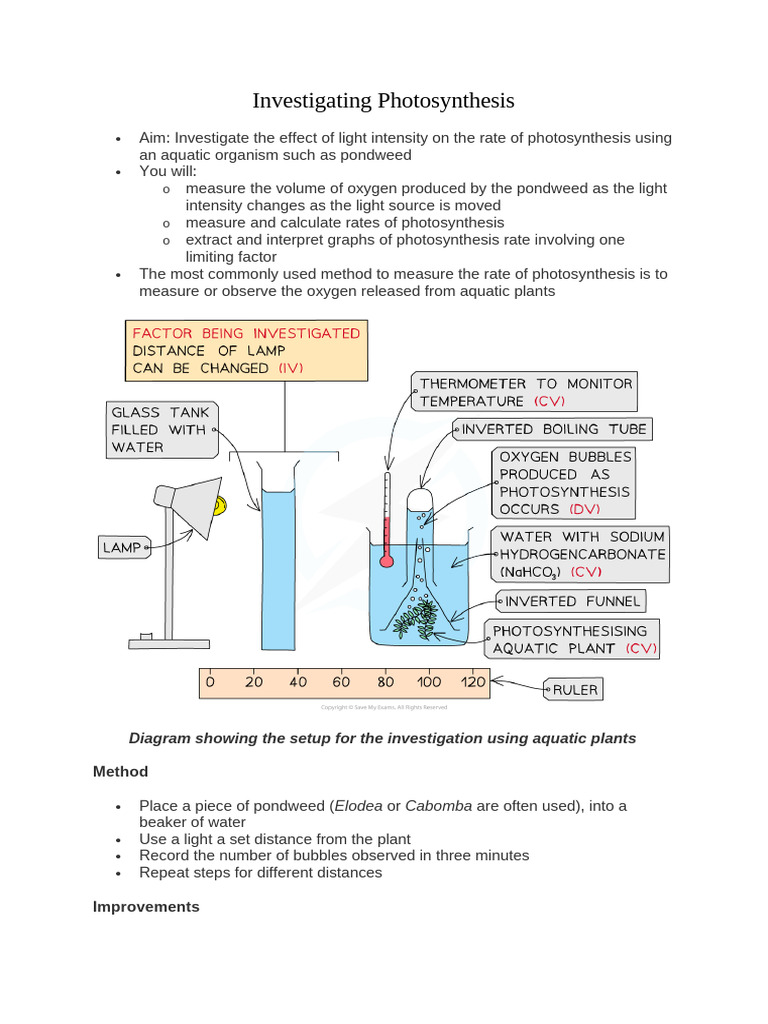 Investigating Photosynthesis | PDF