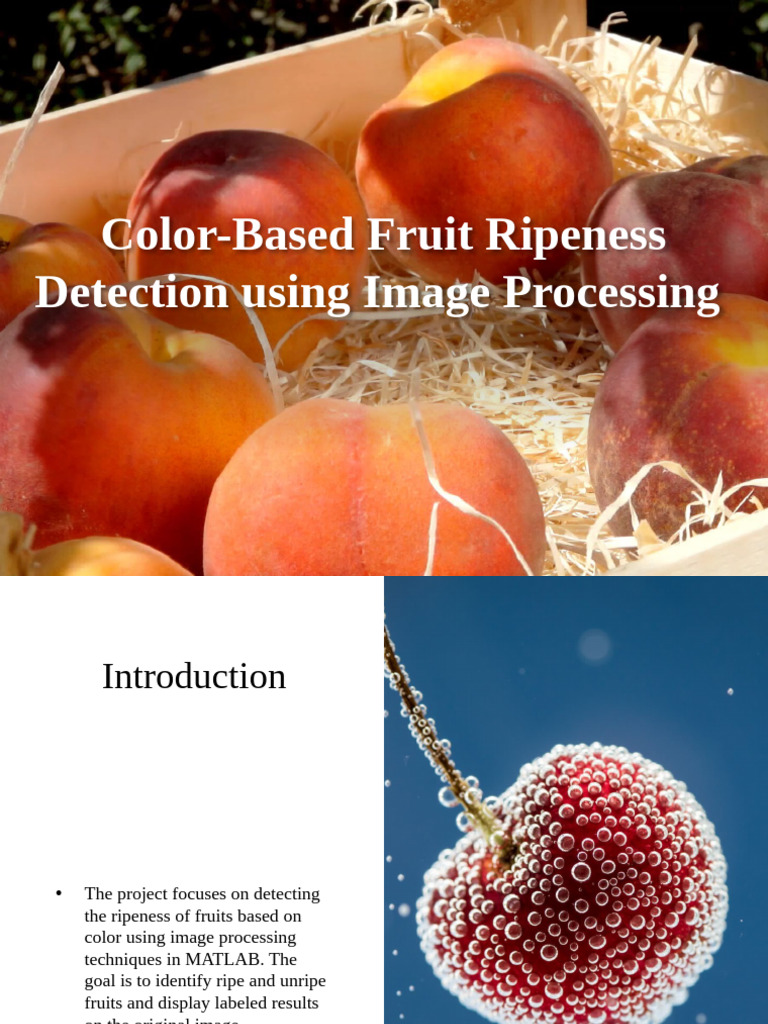 Fruit Ripeness Detection Project Pdf Vision Hue