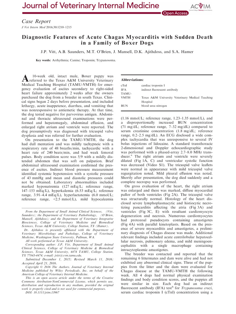 Diagnostic Features of Acute Chagas Myocarditis With Sudden Death in A ...