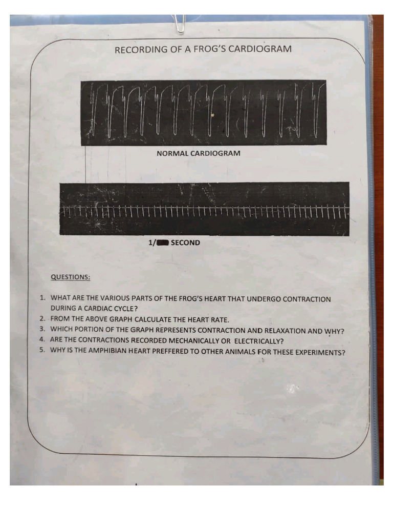 Amphibian Charts 1 2 | PDF
