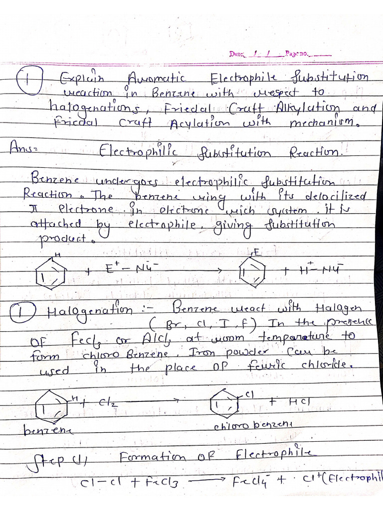 Organic Chemistry Assignment | PDF