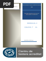 Exercițiu Ecdl - Excel | PDF