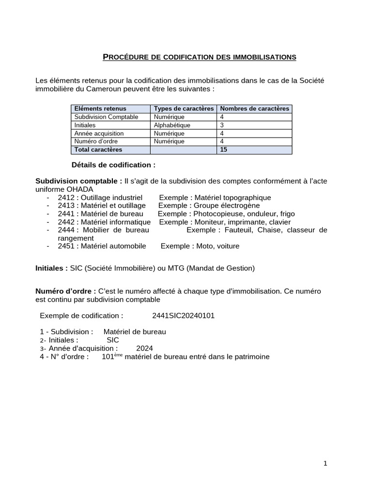 Codification Des Immobilisations | PDF